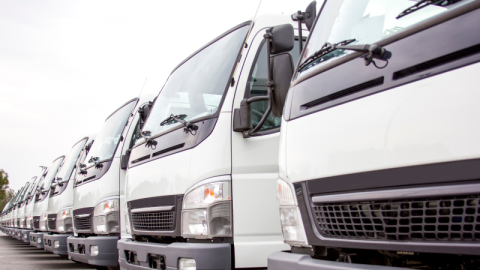 What Are Fleet Decals and How Are They Used Effectively? - Platon Graphics